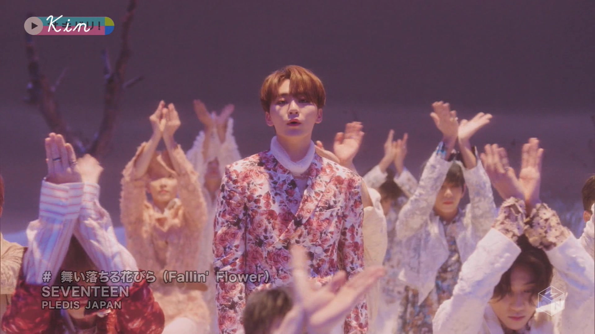 【TV版 1080P MV】SEVENTEEN 日单 飘落的花瓣 Fallin' Flower 舞い落ちる花びら_哔哩哔哩_bilibili