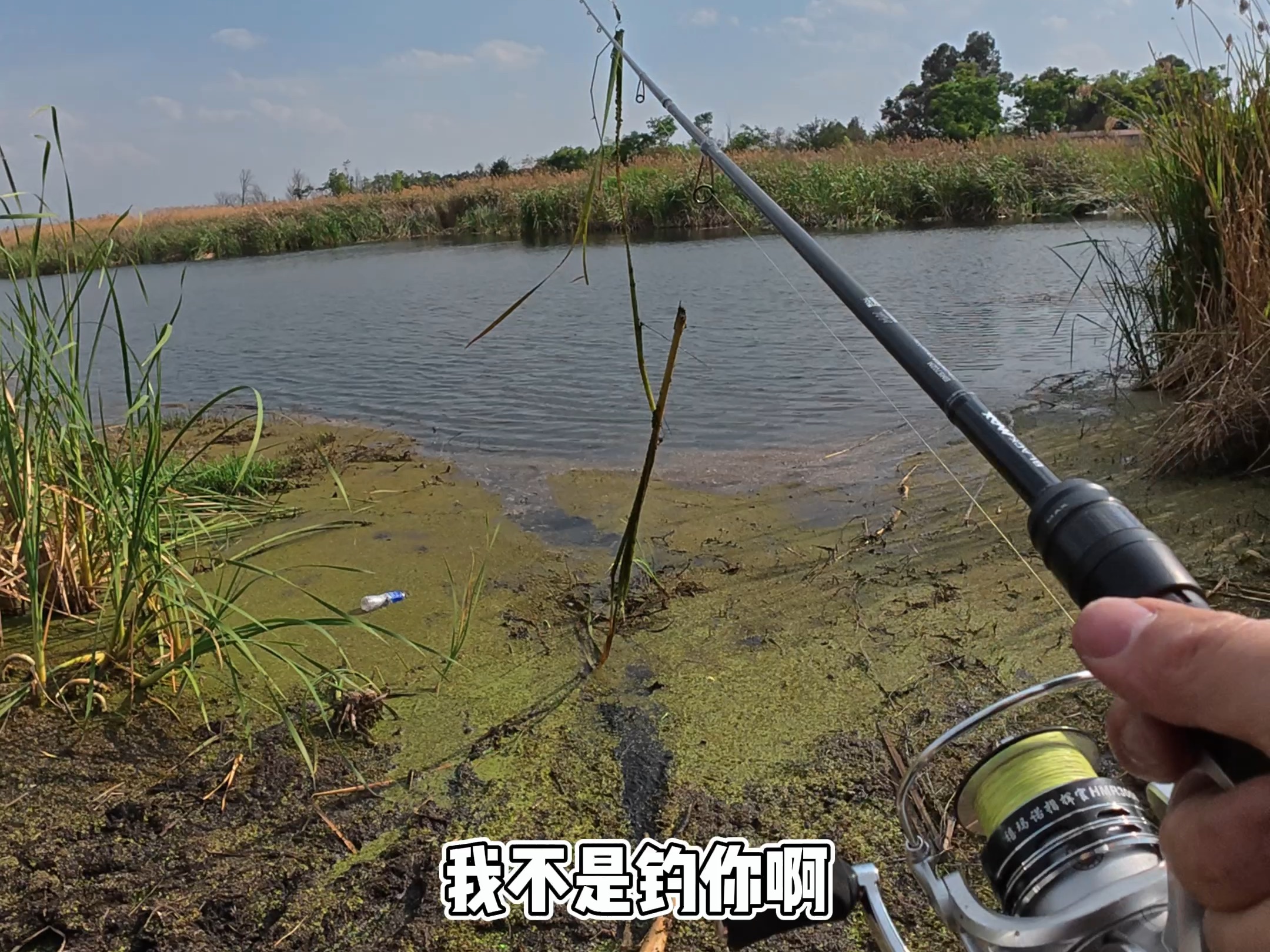 在房子和车子之间 我选择了杆子-老六liul-老六liul-哔哩哔哩视频