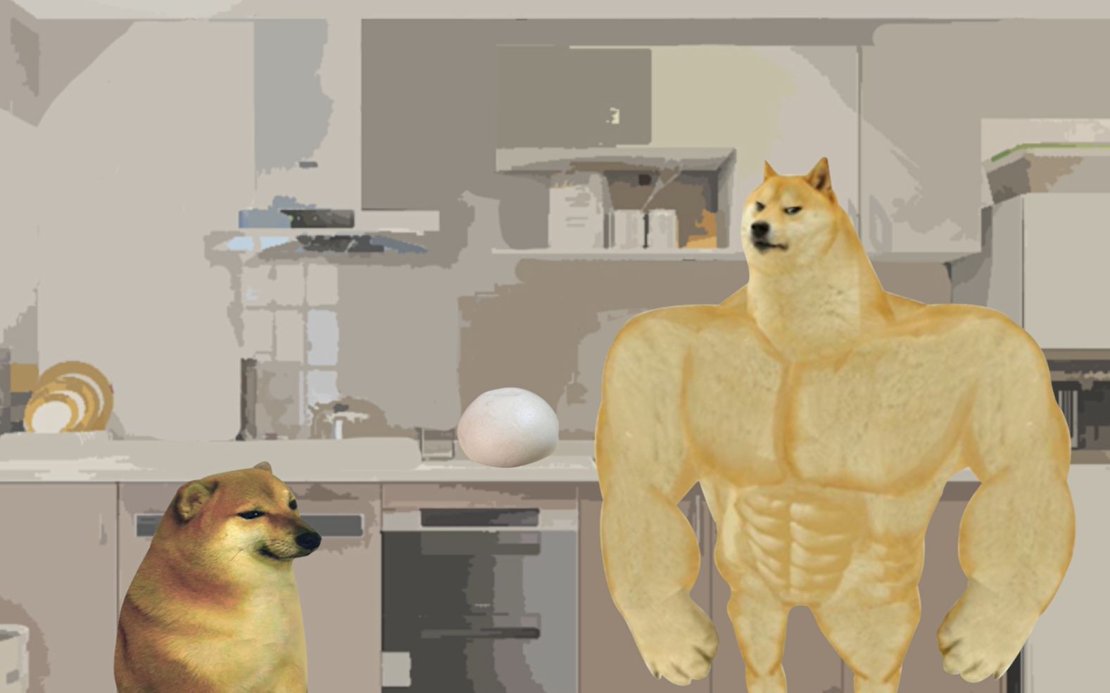 CHEEMS 蒸 馒 头-CHeems的日常-CHeems的日常-哔哩哔哩视频