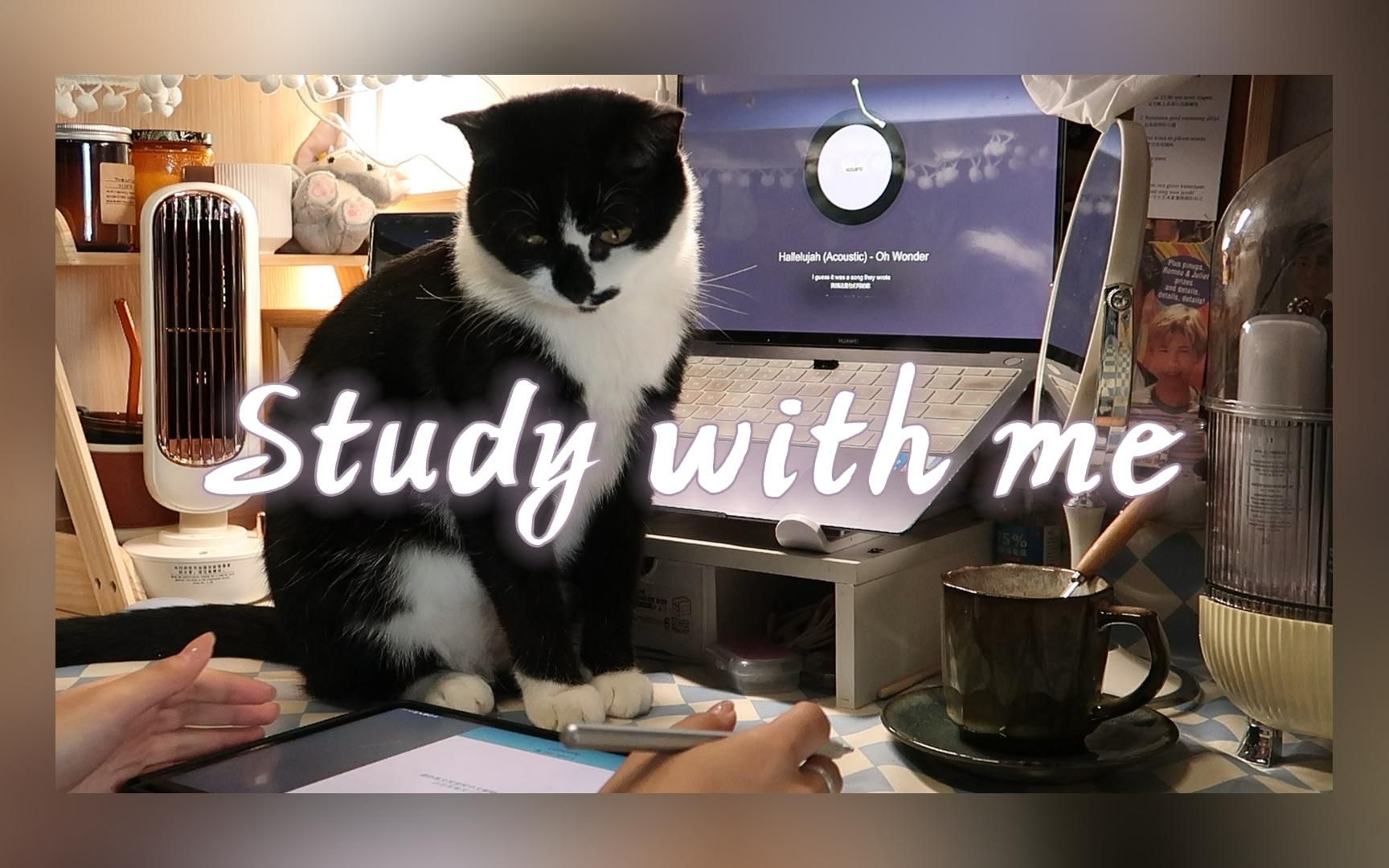 Study with me | 可以迷茫但绝不能停下脚步 | 雨天BGM | 实时学习 | 数学建模 | 宿舍 | 又是学习的一天-粉色薄荷冰 ...