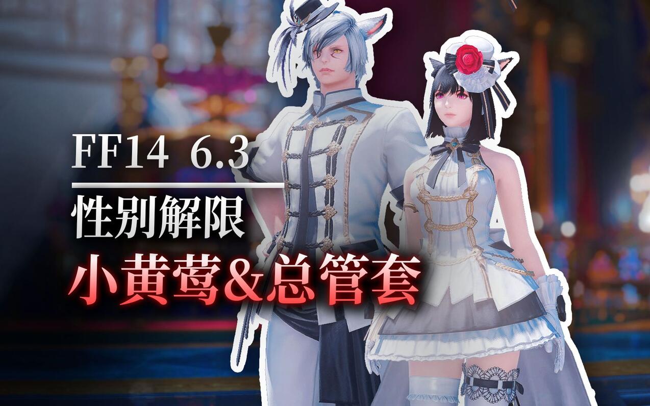 【ff14】6.3性别解限：小黄莺&总管套预览（商城时装选购指南） - 哔哩哔哩