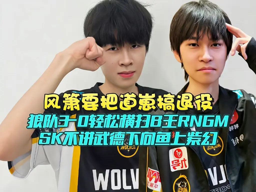 风箫要把道崽搞退役？狼队3-0轻松横扫B王RNGM：SK不讲武德又下向鱼 #2025KPL夏季赛 #风箫要把道崽搞退役_哔哩哔哩bilibili