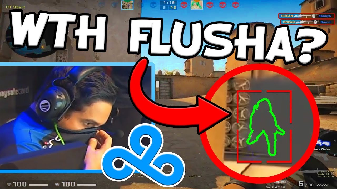 【CSGO】WHEN PROS FART AT LAN! DID AUTIMATIC TOGGLE!? FLUSHA DOING FLUSHA ...
