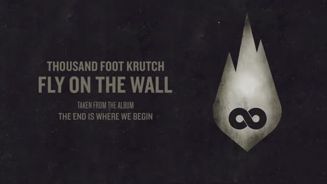 Fly on the wall_哔哩哔哩_bilibili