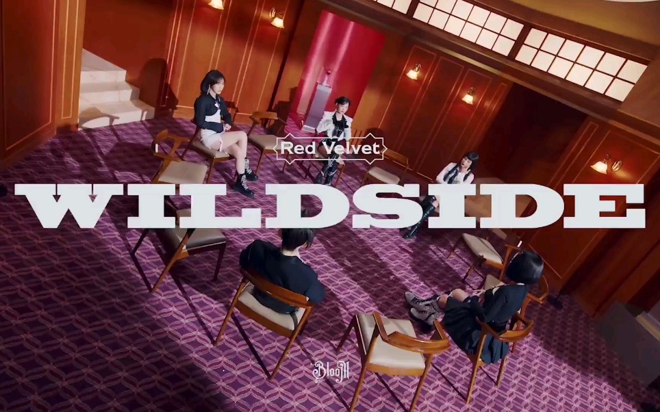 Red Velvet 日专主打《WILDSIDE》MV预告_哔哩哔哩_bilibili