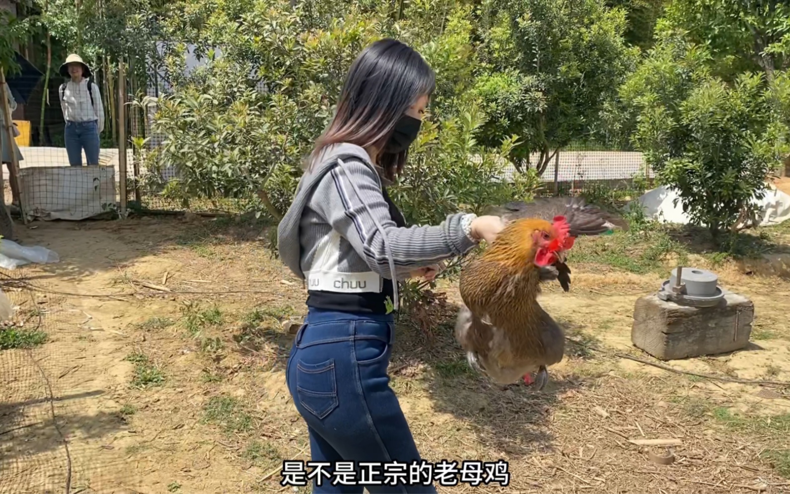 就喜欢这种没有过度开发的小山村…抓个老母鸡补补身体-96斤vlog-96斤vlog-哔哩哔哩视频