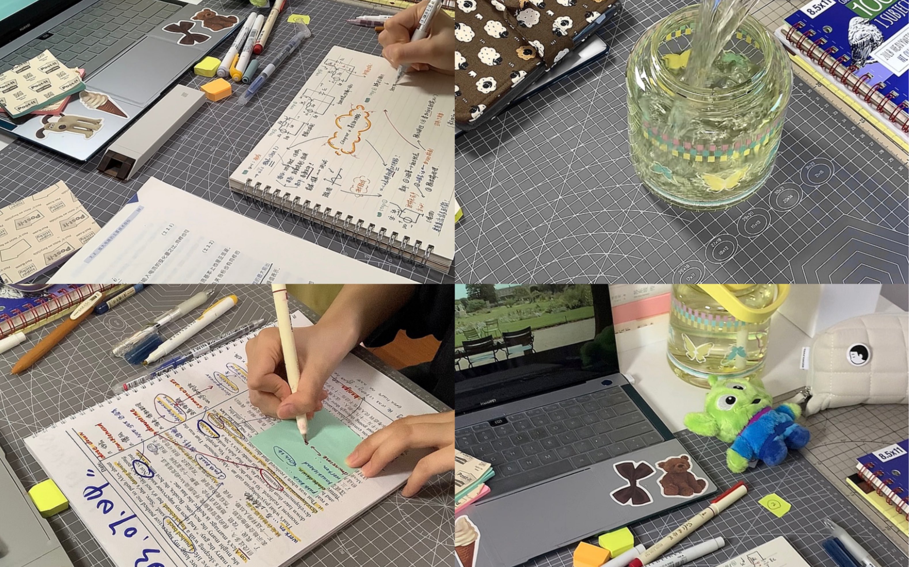 【study with me】合集|韩国法学院女生里约rewoo|法学院阅览室/准备期末考试多场景学习陪伴|白噪音自习