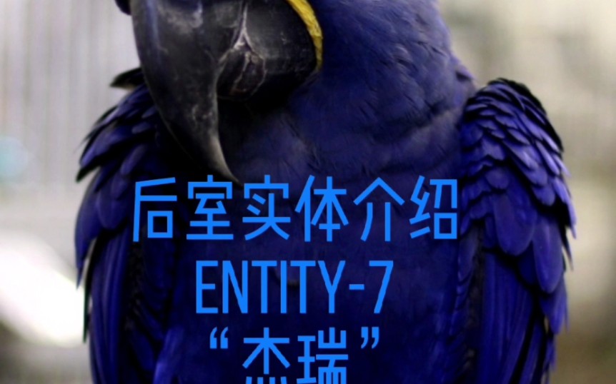 【Backrooms后室】实体介绍 Entity-7 “杰瑞” - 视频下载 Video Downloader
