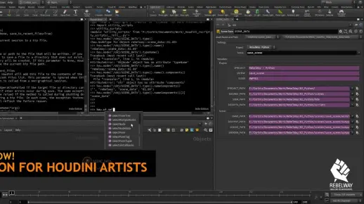 「中英字幕」Rebelway - Houdini之Python编码终极指南_哔哩哔哩_bilibili