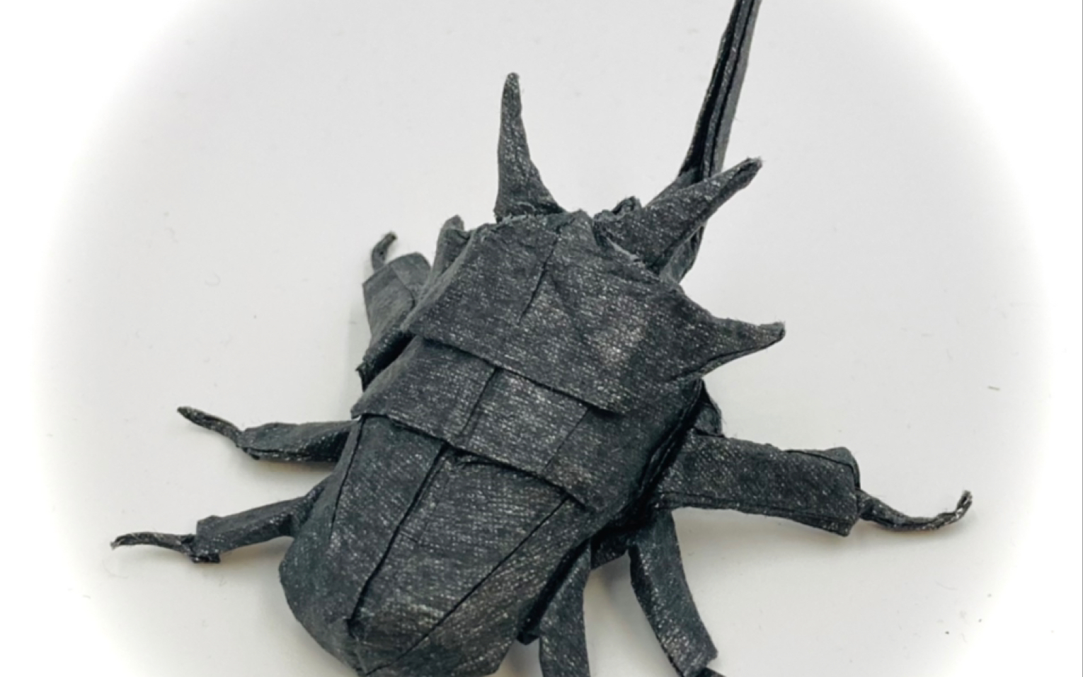 Origami Eupatorus beetle-designed by Matthias-video by Matthias