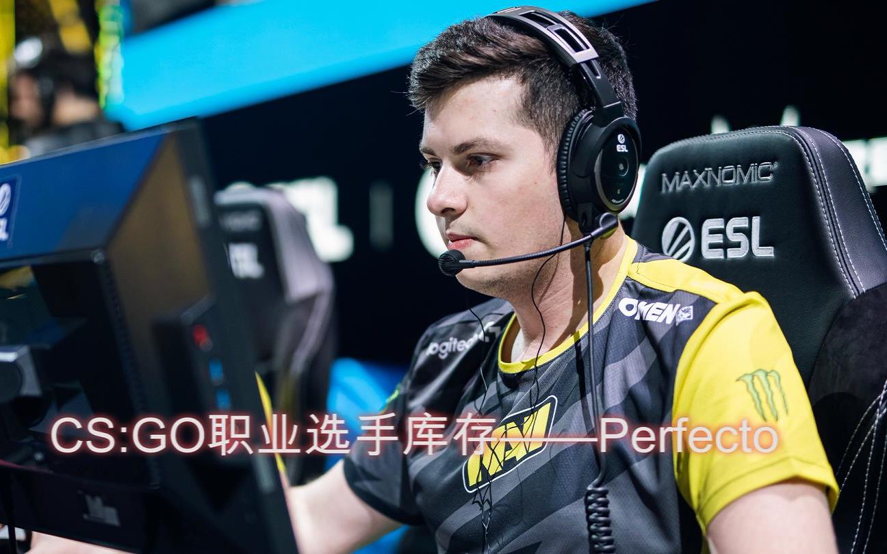 CS:GO职业选手库存——Perfecto_哔哩哔哩_bilibili