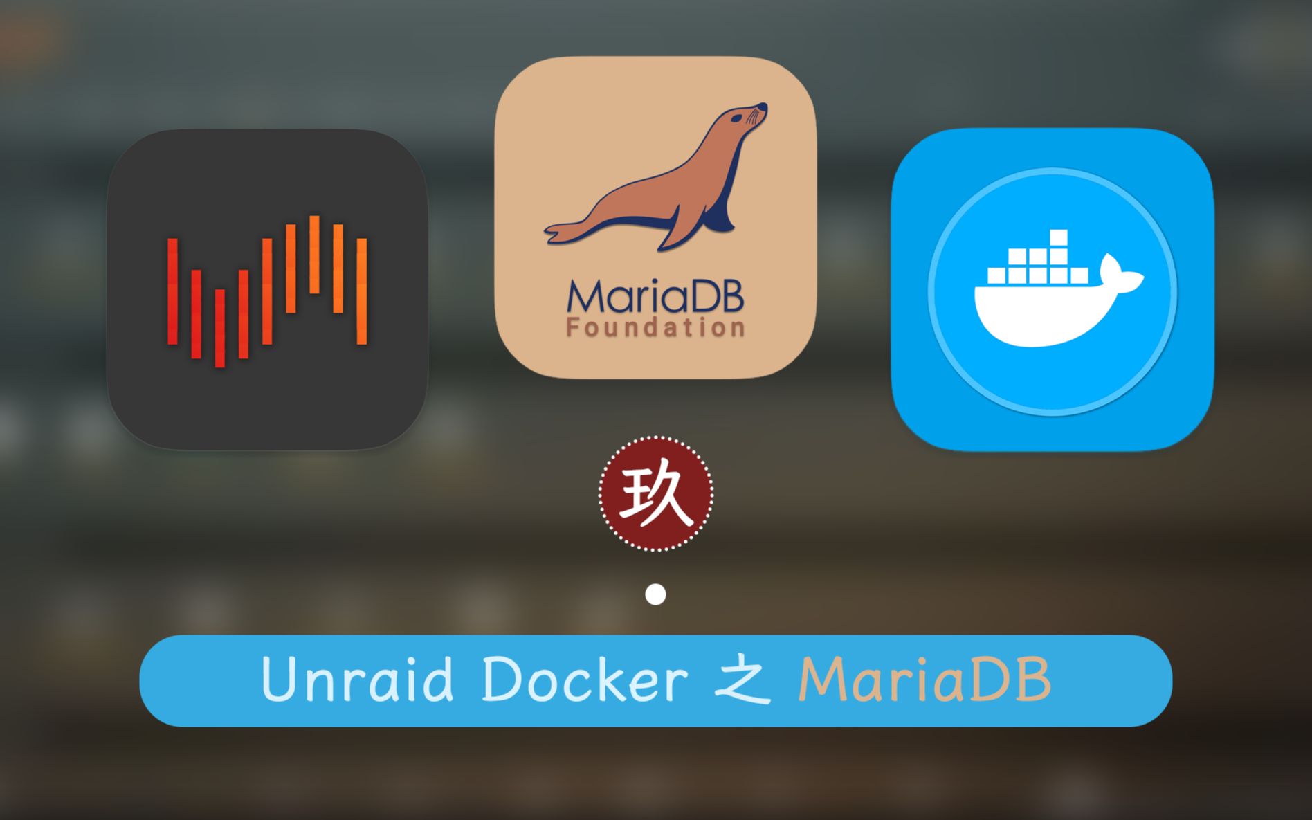 MariaDB 数据库 安装及使用 —— 群晖 Unraid Docker 9 - 视频下载 Video Downloader