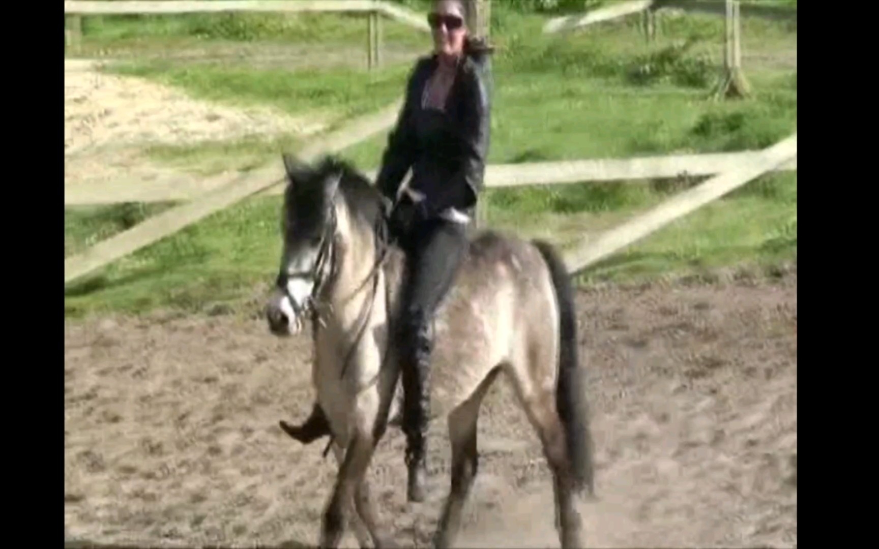 CL8565骑马（狠驯马）