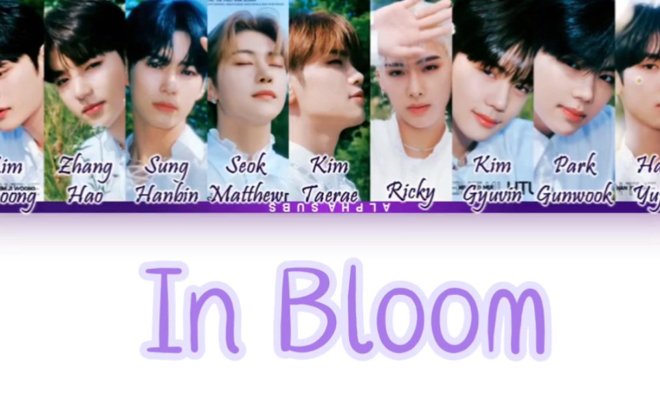 [ZB1]In Bloom 但 B站用户版