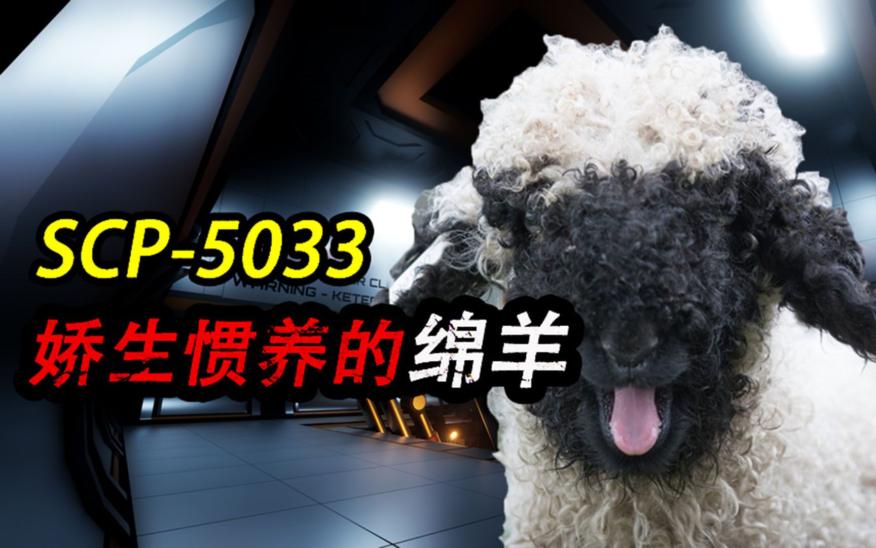 SCP5033，别惹娇生惯养的绵羊，SCP基金会系列_哔哩哔哩 (゜-゜)つロ 干杯~-bilibili