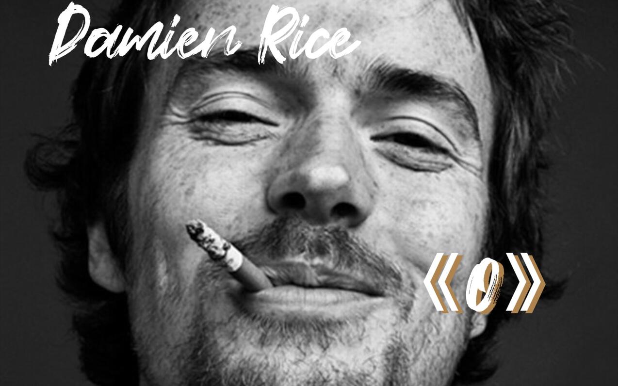 Damien Rice - 哔哩哔哩