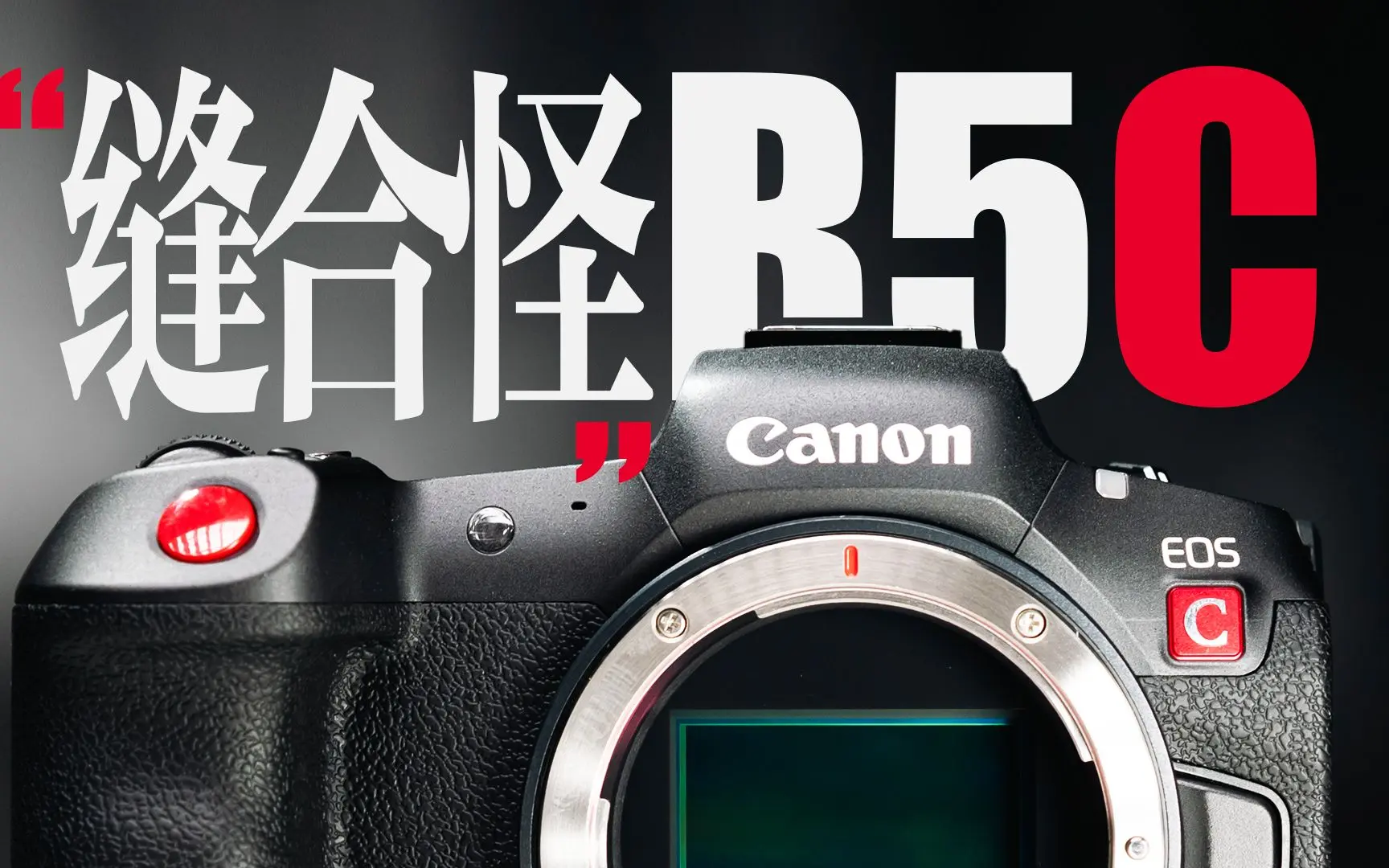 真把我们劝退了！佳能EOS R5C使用分享_哔哩哔哩_bilibili