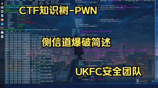 [CTF知识树-PWN] 侧信道爆破简述_哔哩哔哩_bilibili