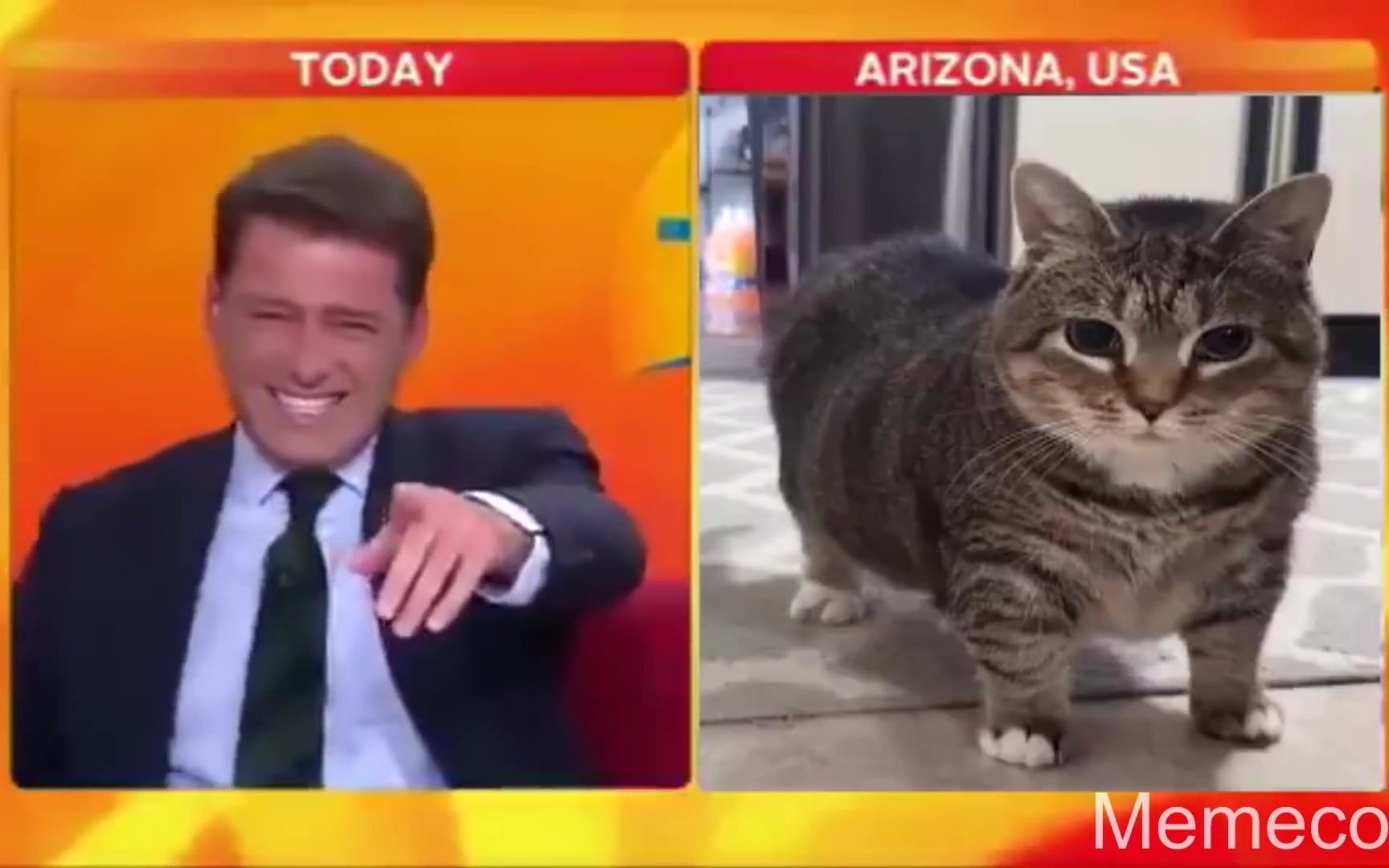 HAHAHAH_哔哩哔哩_bilibili