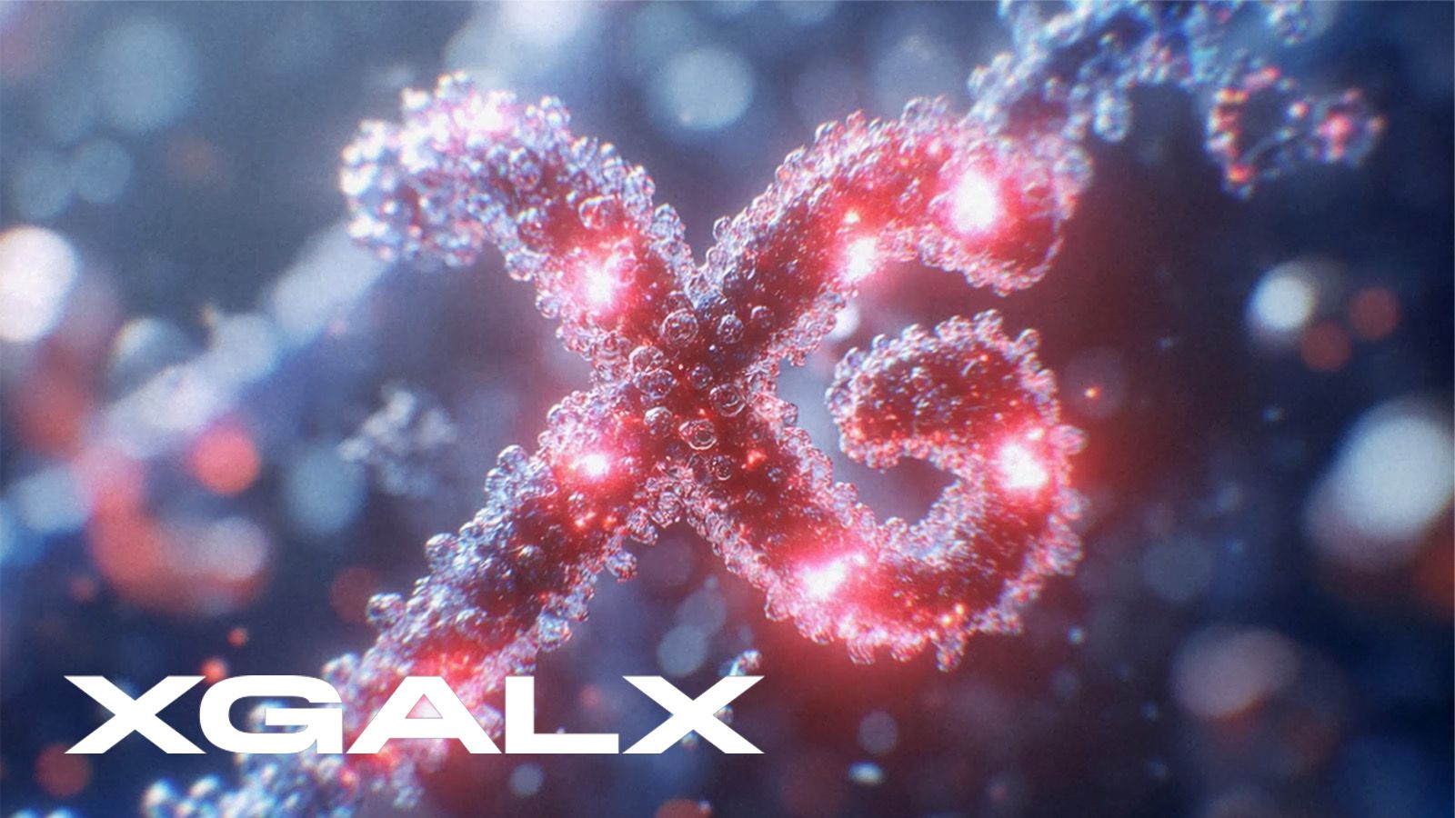 XG - XDM Unidentified Waves (Visualizer)-XGALX_XG-XGALX_XG-哔哩哔哩视频