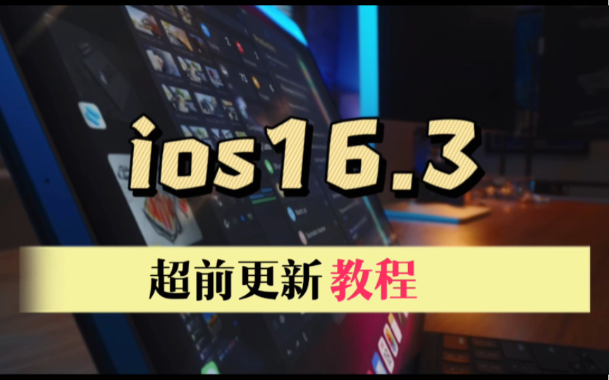 苹果ios16.3超前更新教程 - 视频下载 Video Downloader