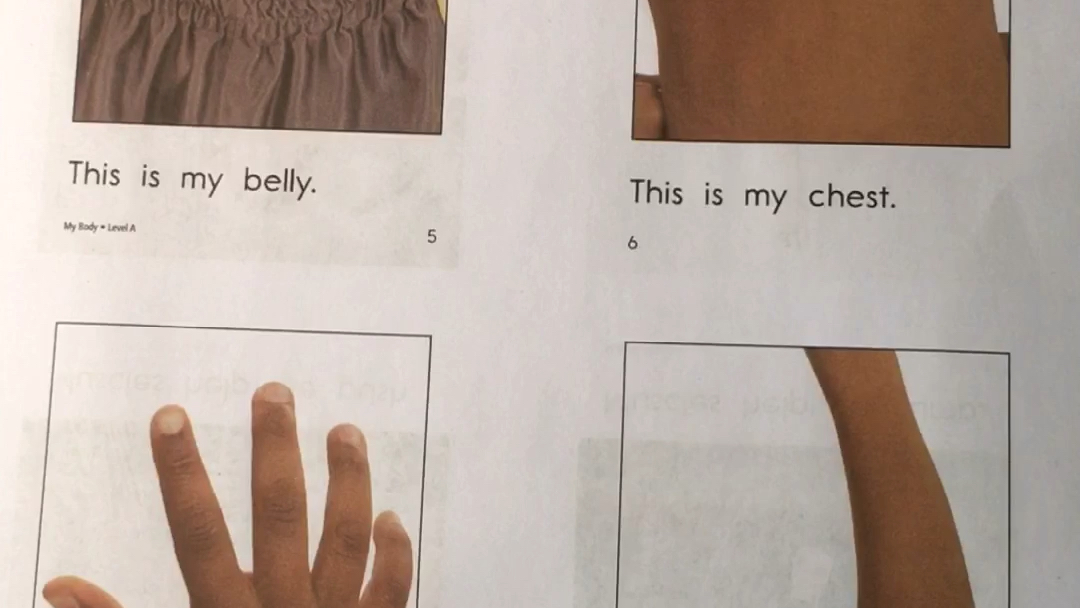 分级阅读my body（RAZ，A级）_哔哩哔哩_bilibili