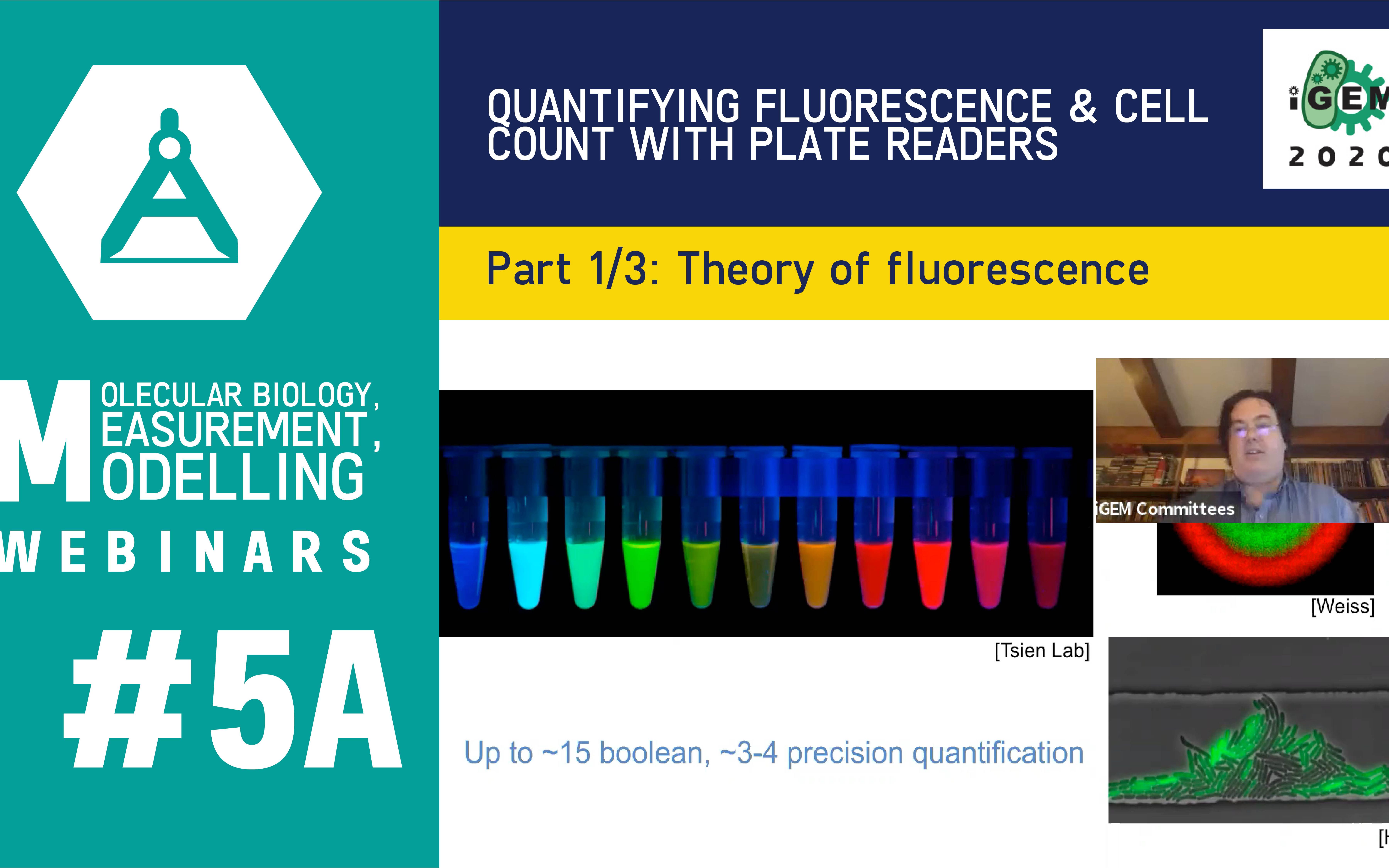 Measurement - 5A.1-Quantifying fluorescence and cell count with plate ...