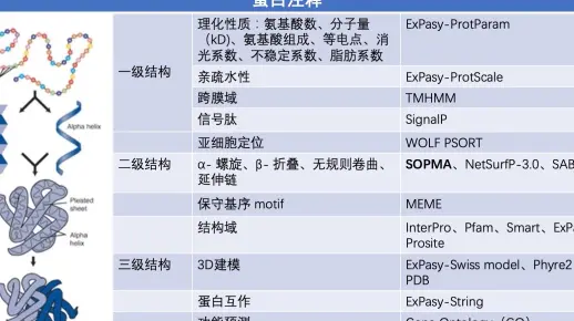 如何用Expasy-ProtParam预测蛋白理化性质-iveeryou-默认收藏夹-哔哩哔哩视频