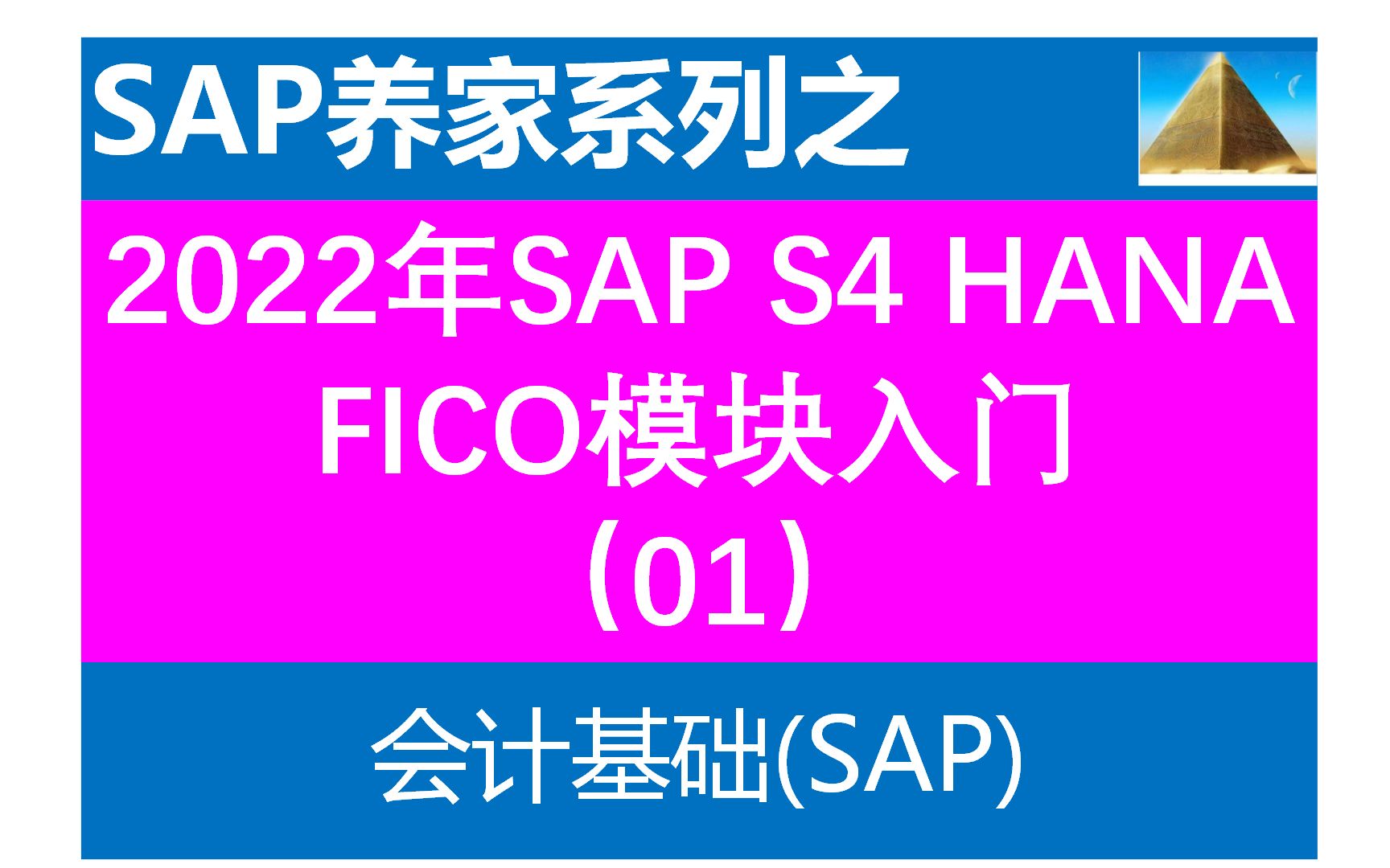 2022年S4 HANA FICO_01会计基础 SAP FICO SAP MM SAP PP SAP SD SAP ABAP SAP入门 ...
