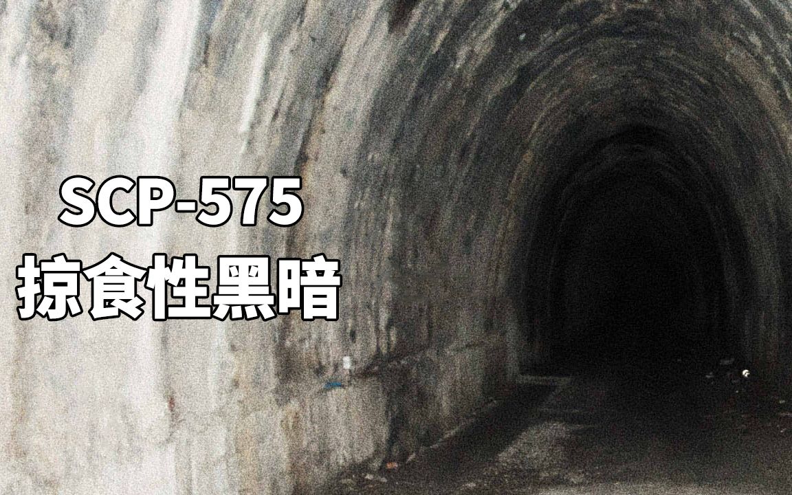 【SCP基金會】SCP-575 -掠食性黑暗_哔哩哔哩 (゜-゜)つロ 干杯~-bilibili
