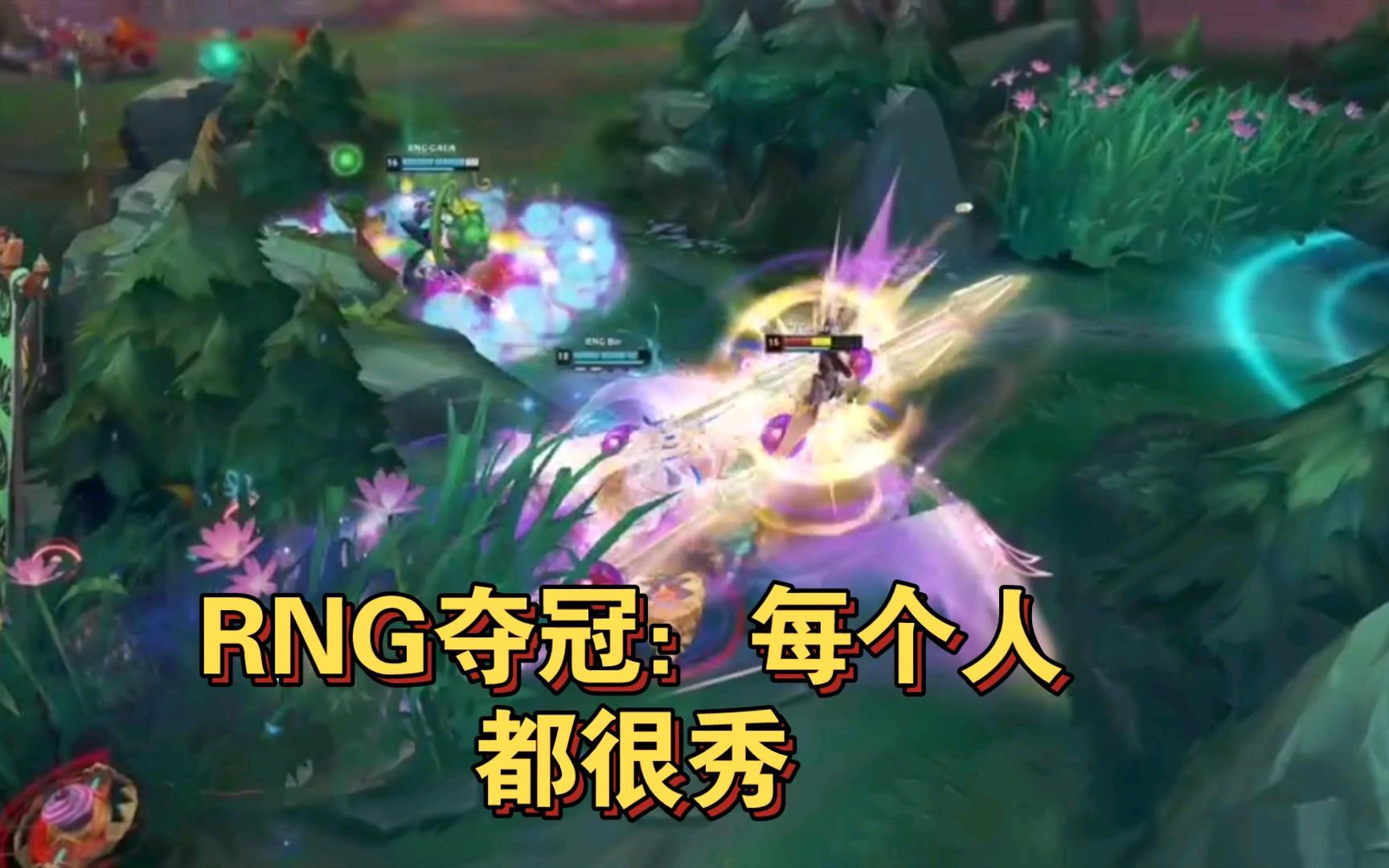 RNG夺冠：每个人都很秀_哔哩哔哩bilibili_精彩集锦