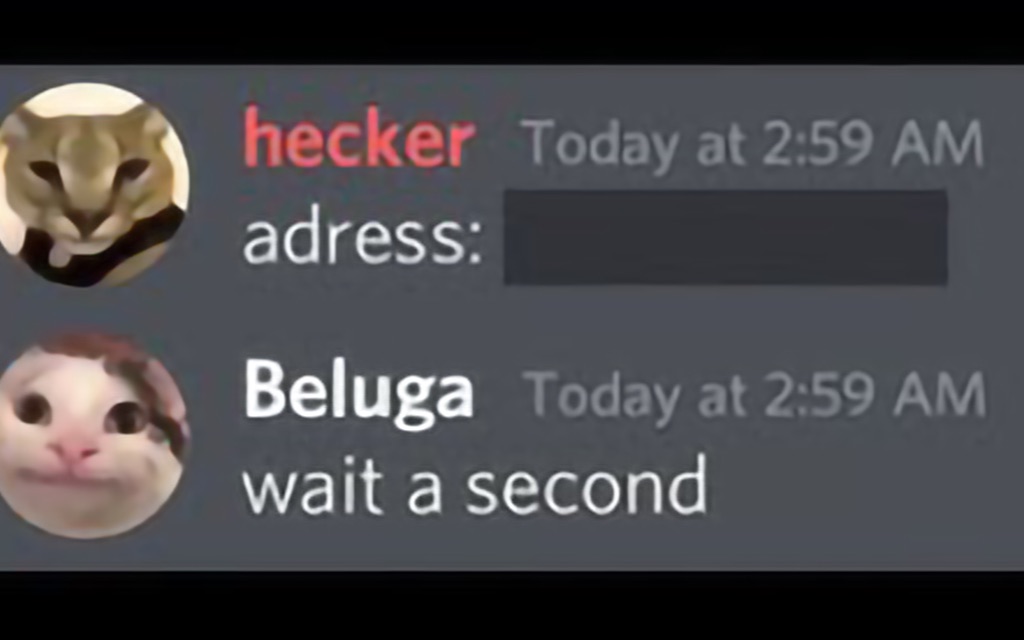[Beluga和他的小伙伴]高端的黑客往往采用最朴素的手法-Beluga官方字幕组-Beluga官方字幕组-哔哩哔哩视频