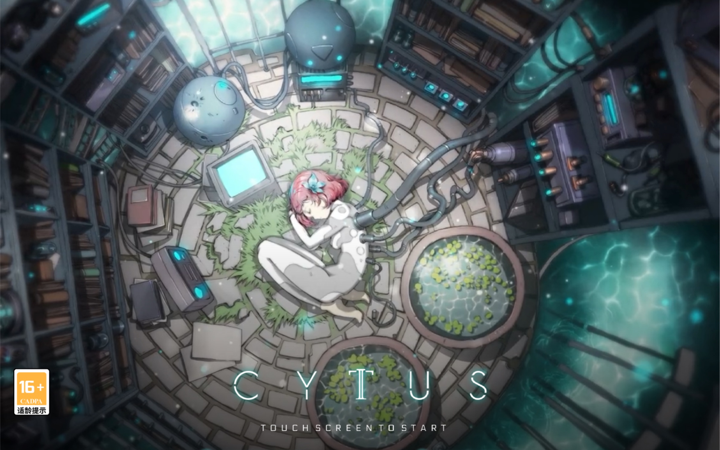 Sairai_哔哩哔哩_bilibili