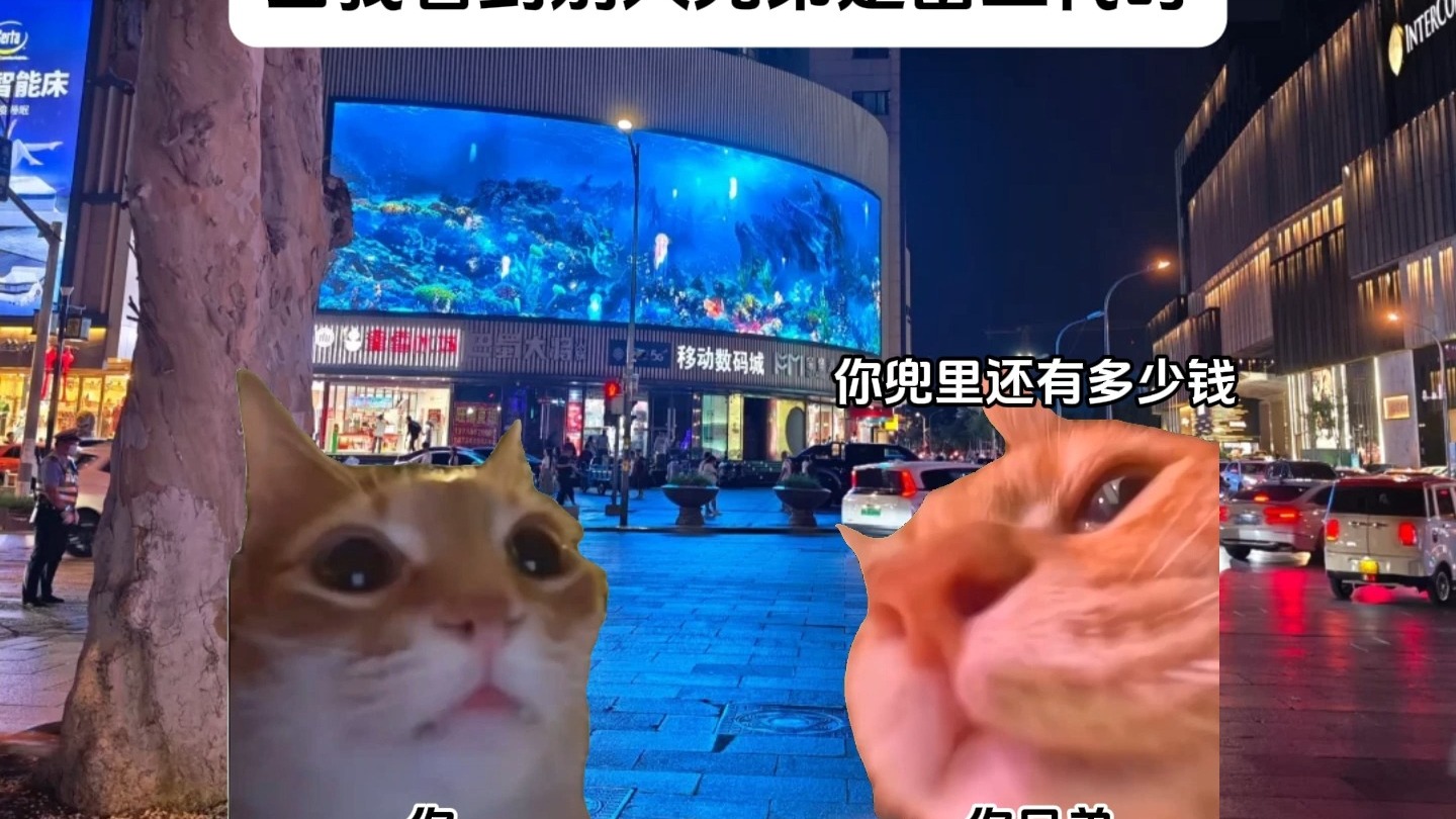 当我看到别人兄弟是富二代时-猫meme小剧场0w0-猫meme小剧场0w0-哔哩哔哩视频