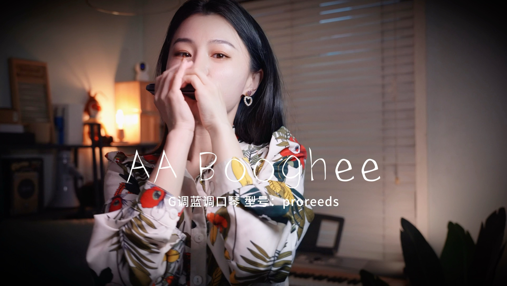 新年第一曲，先和小猫跳个boogie｜蓝调口琴《aa booghee》-吹口琴的小园园-吹口琴的小园园-哔哩哔哩视频