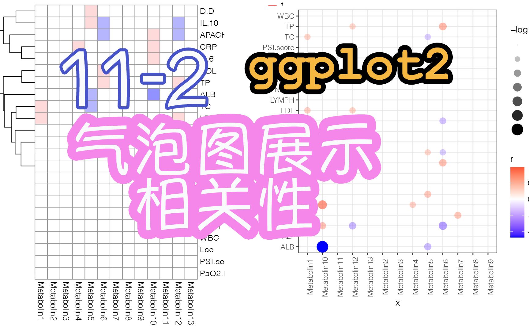 手把手教你ggplot2画气泡图展示两矩阵相关性——晴学R11-2_哔哩哔哩_bilibili