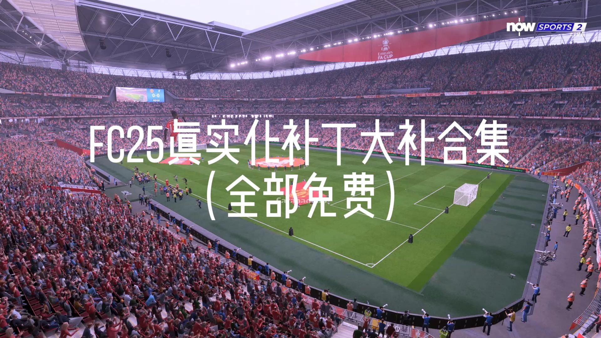 【FC25 真实化大补整合包】如何拥有更真实的FC25体验？ - 视频下载 Video Downloader