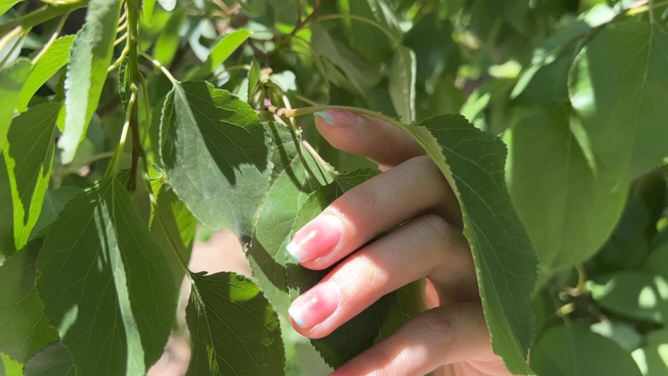 科普法国gerbe sunlight15为什么是珠光天花板的存在_哔哩哔哩_bilibili