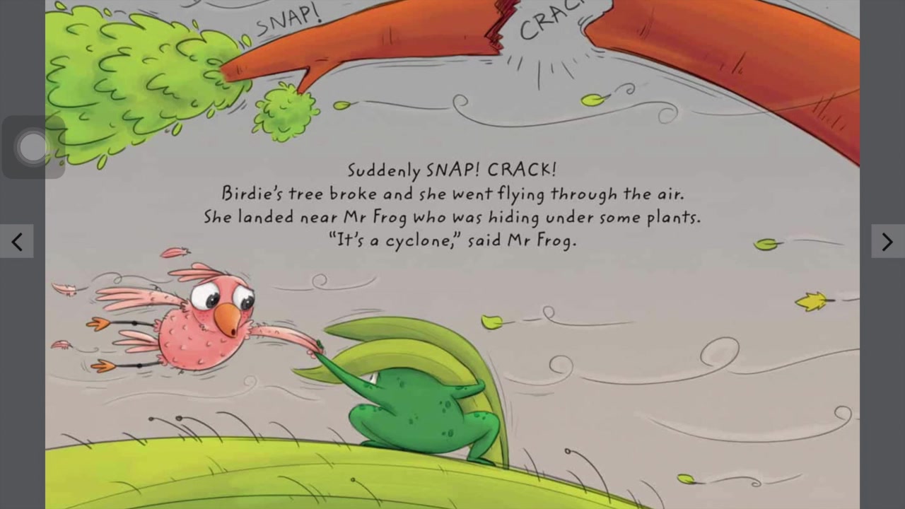 【澳洲儿童故事绘本】BIRDIE AND THE CYCLONE_哔哩哔哩_bilibili