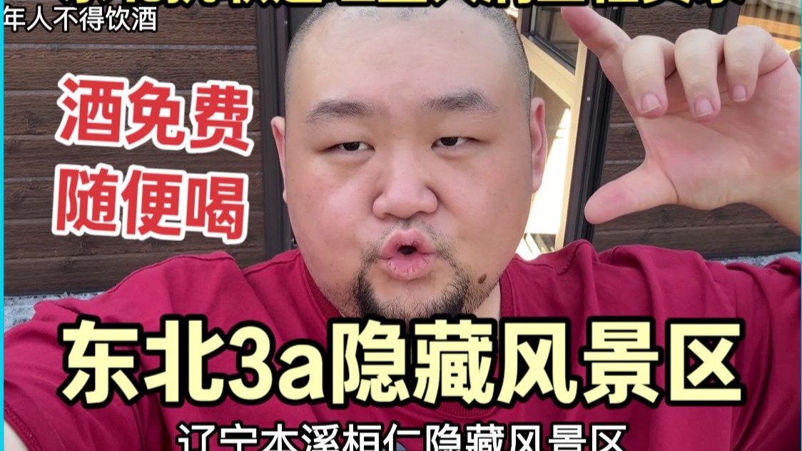 东北隐藏3a景区酒免费喝，666到17999限量1杯-胖虎老刘-胖虎老刘-哔哩哔哩视频