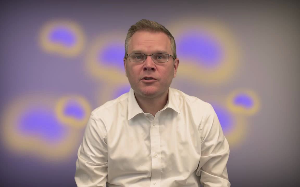 Principles of fMRI Part 1, Module 28- FDR Correction_哔哩哔哩_bilibili