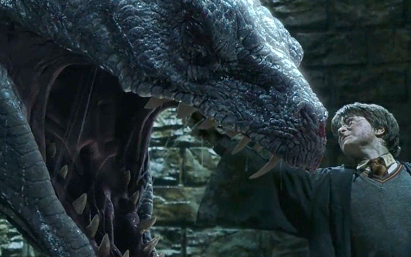 详解《哈利波特与密室》，这些重点细节，你都注意到了吗？-据说放映-据说放映-哔哩哔哩视频