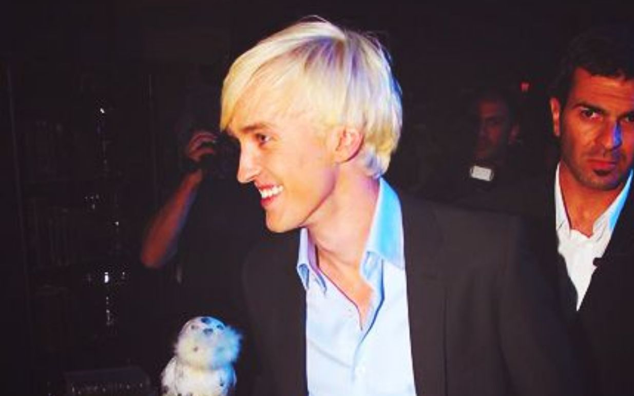 【Tom Felton 2019-3-7part2】全程轻柔，推荐睡前食用~_哔哩哔哩_bilibili