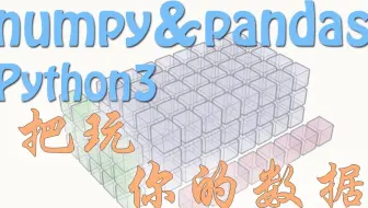 【全57集】2025最新版pandas教程，由浅入深（全程干货）_哔哩哔哩_bilibili