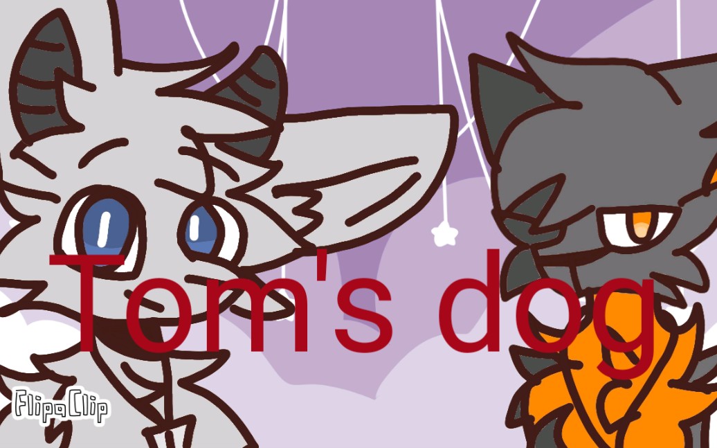 Tom's dog meme(合作)_哔哩哔哩_bilibili