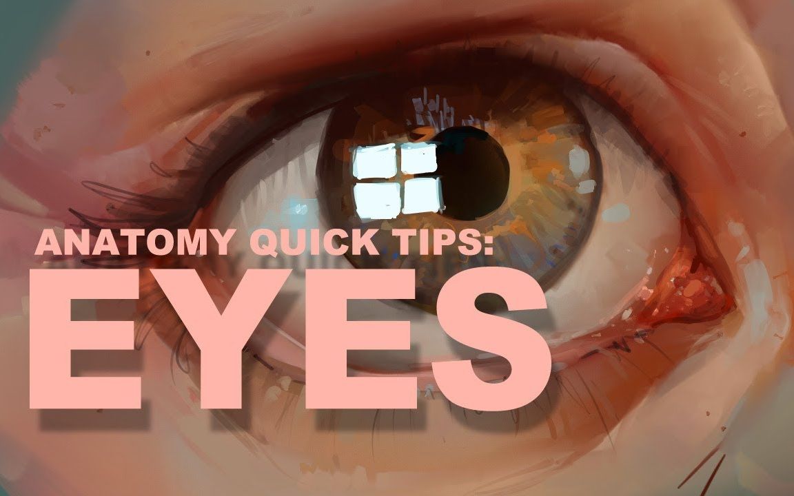 Sinix Design解剖学快速示范 眼部【中文字幕】_哔哩哔哩_bilibili