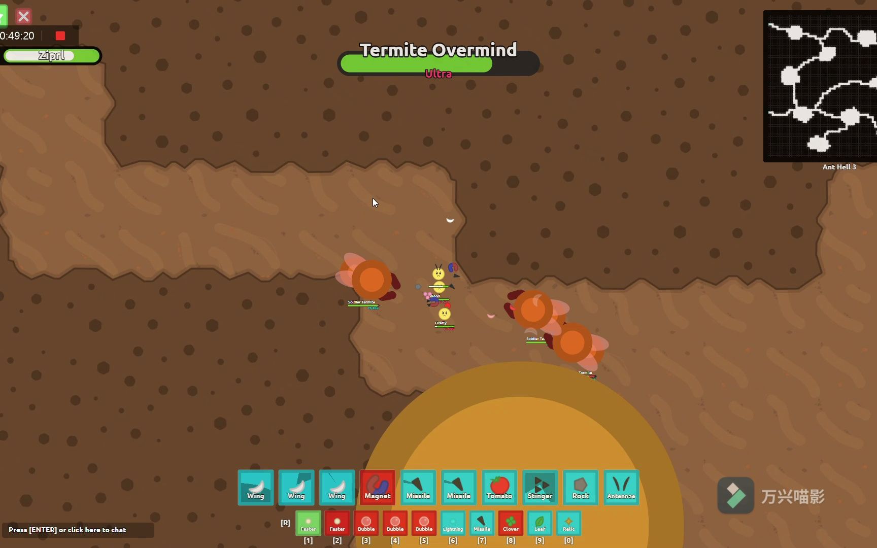 florr与一些随机的Super火蚁后