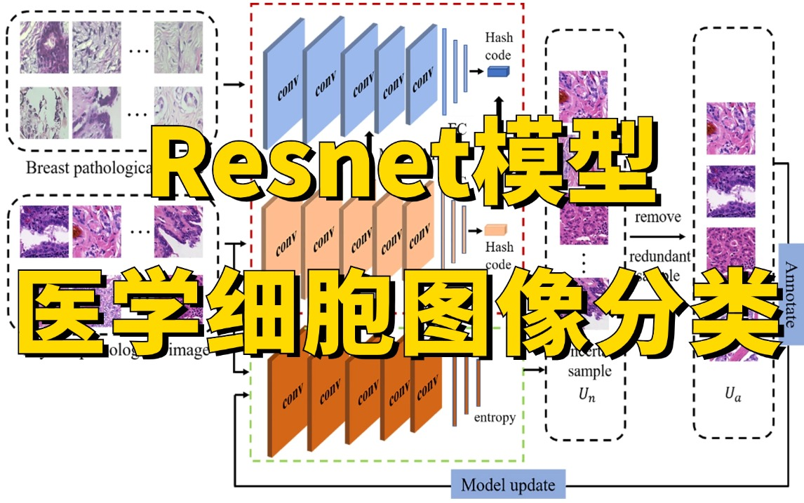 resnet图像分类实战：基于ResNet模型实现医学细胞图像分类，原理详解+项 - 哔哩哔哩