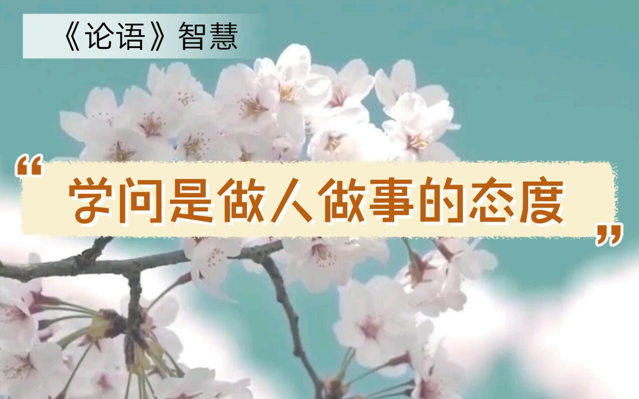 《论语》智慧：学问是做人做事的态度 子夏曰：贤贤易色，事父母能竭其力，事君 哔哩哔哩