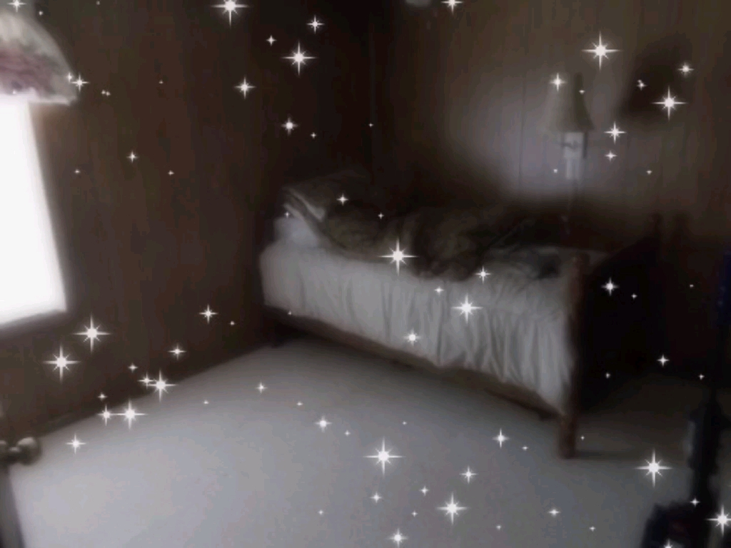 bonespo_哔哩哔哩_bilibili